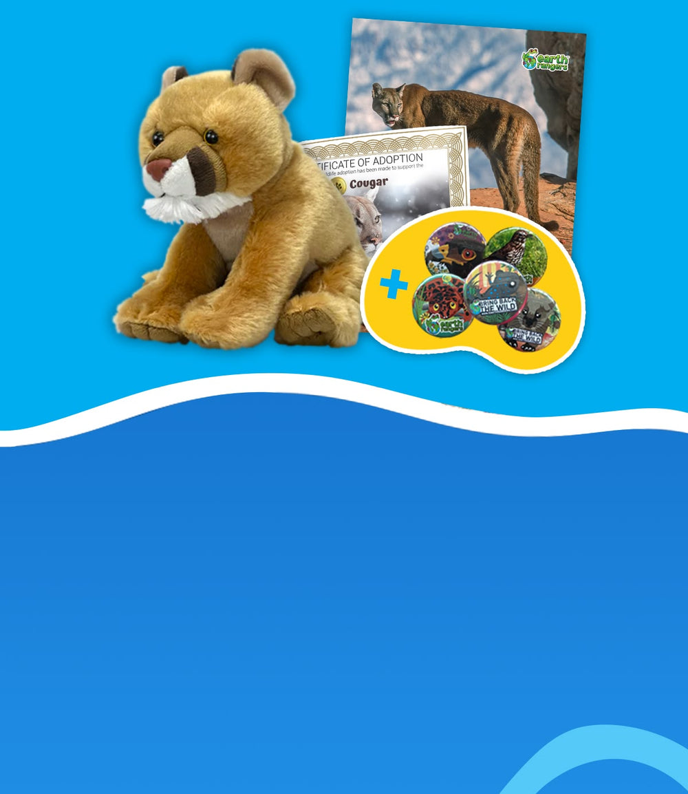 The Earth Rangers Shop: T-shirts and Earth Rangers Gear