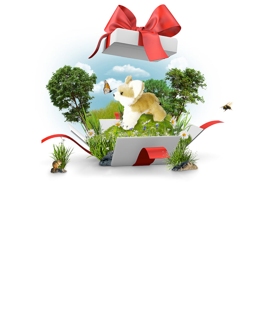 The Earth Rangers Shop: T-shirts and Earth Rangers Gear