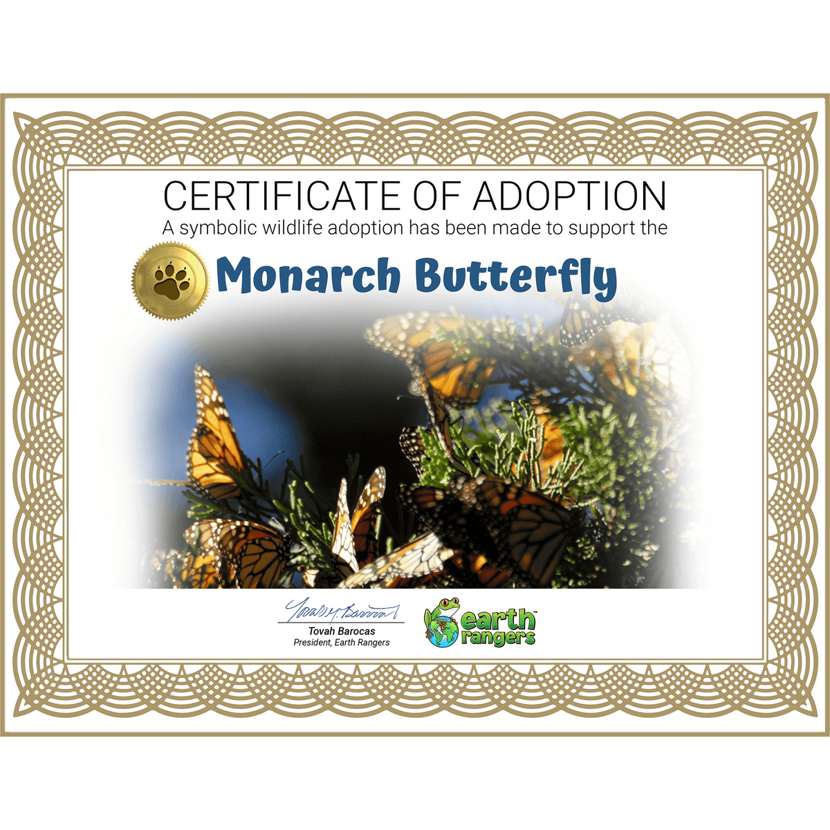 Monarch Butterfly Adoption Kit