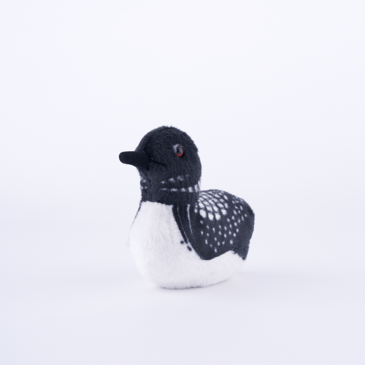 Common Loon Adoption Kit - Plush Bundle