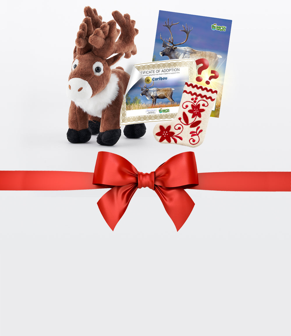 Wildlife Adoptions - Individual Adoption Kits