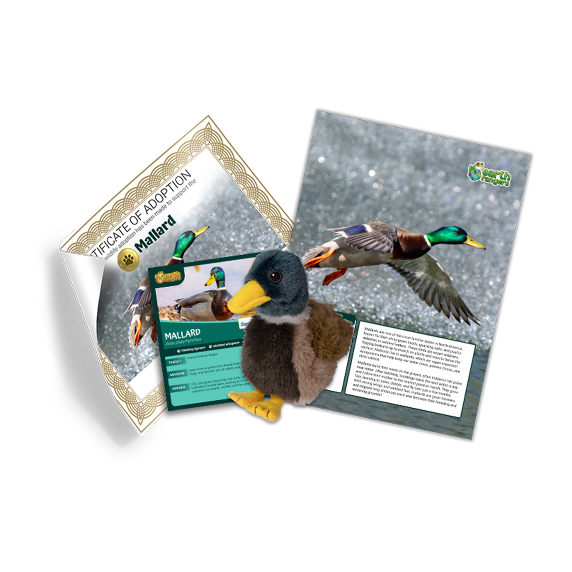 Mallard Adoption Kit - Plush Bundle