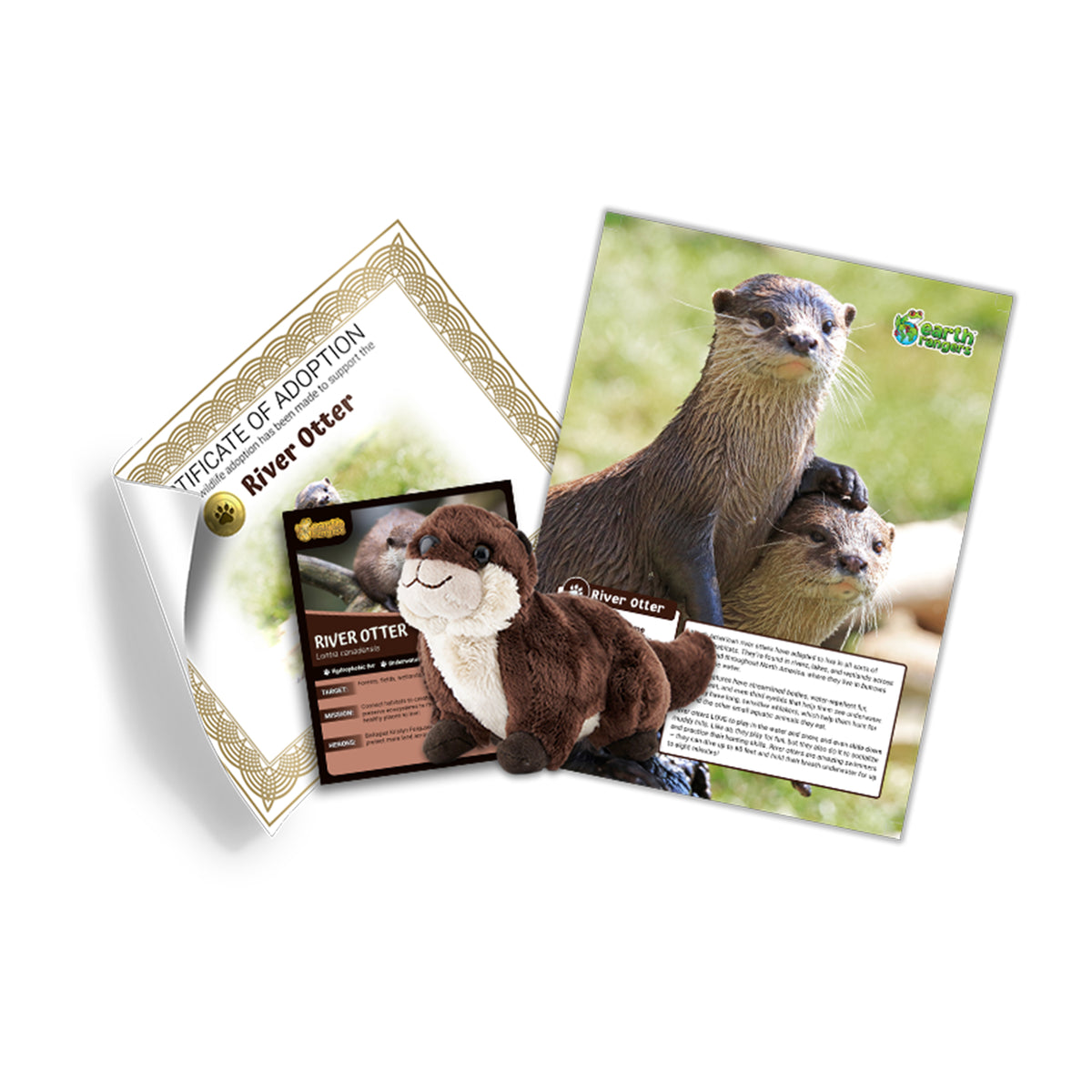 River Otter Adoption Kit