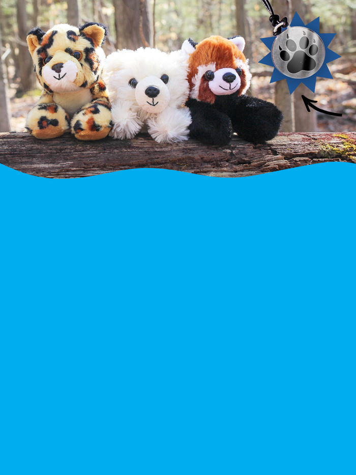 The Earth Rangers Shop: T-shirts and Earth Rangers Gear