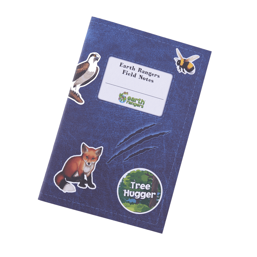 Field Notes Notebook