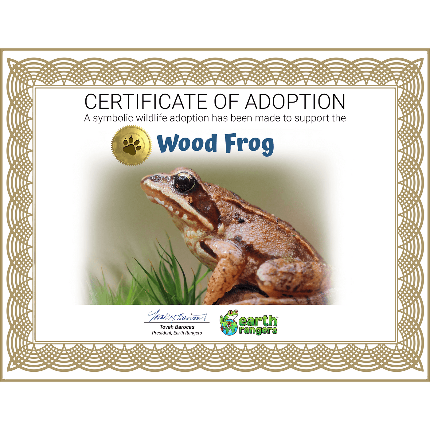 Wood Frog Adoption Kit