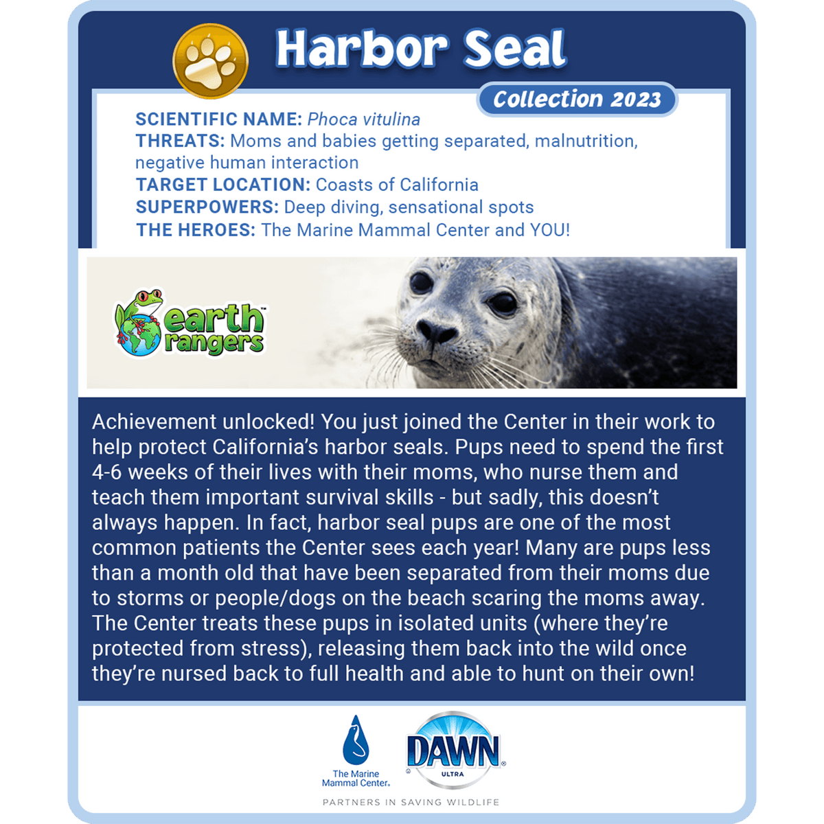 Harbor Seal Adoption Kit - Plush Bundle