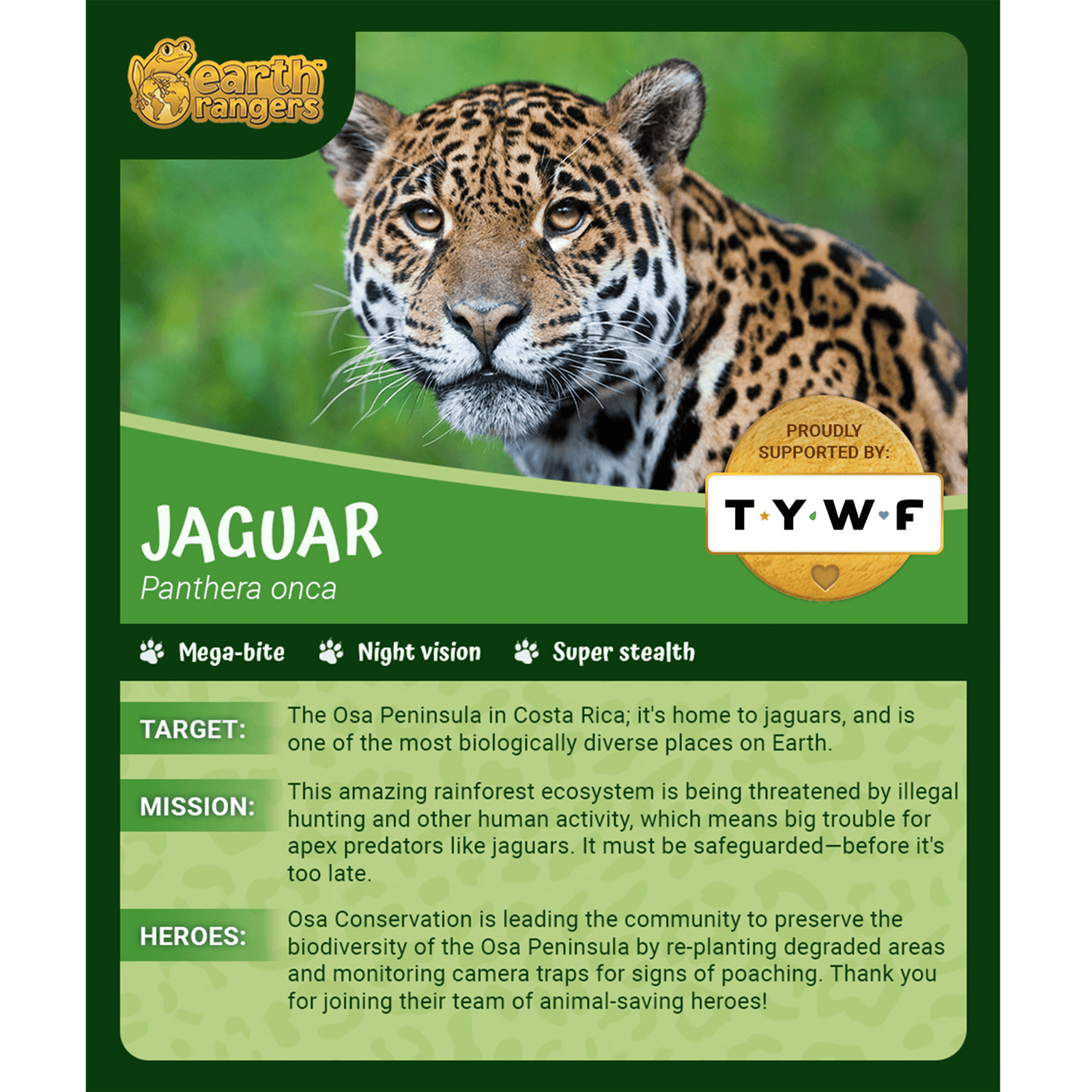 Jaguar Adoption Kit