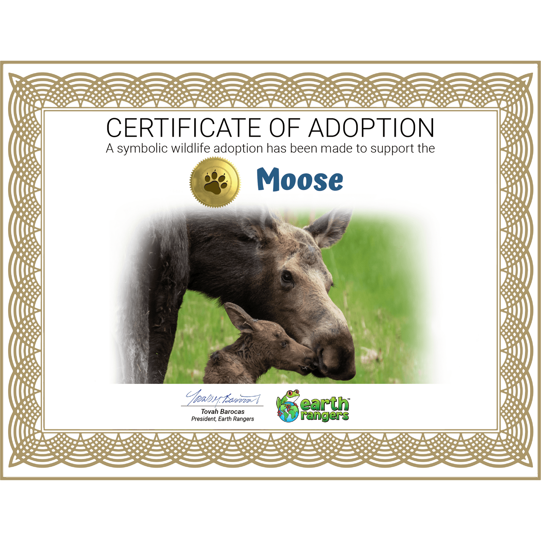 Moose Adoption Kit