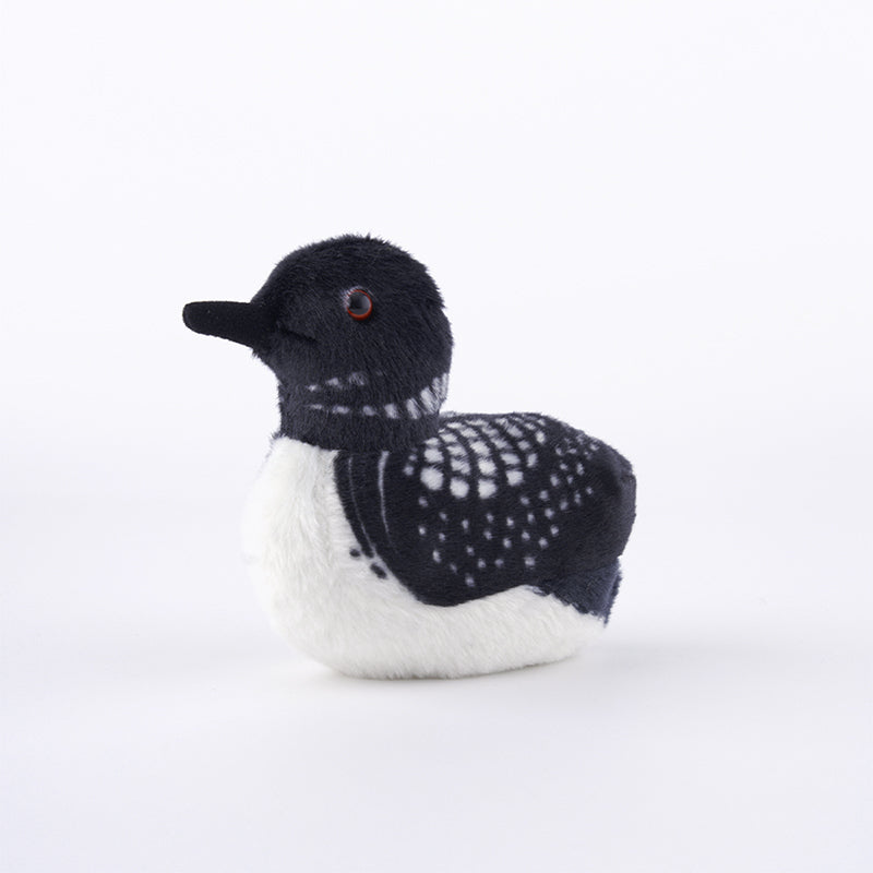 Common Loon Adoption Kit - Plush Bundle