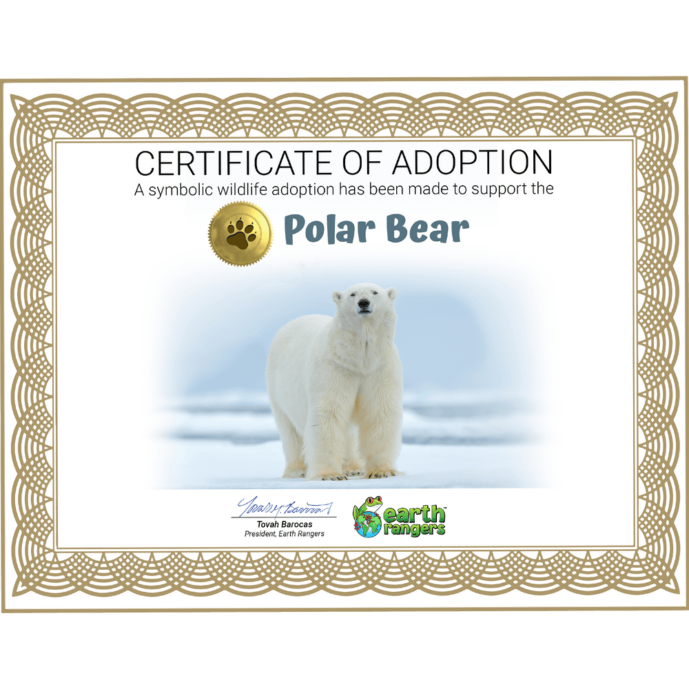 Polar Bear Adoption Kit - Plush Bundle