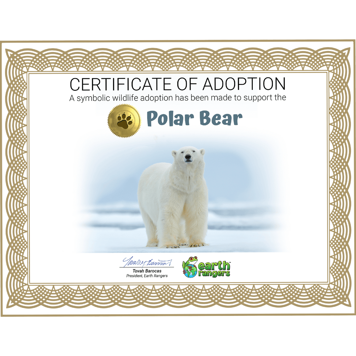 Polar Bear Adoption Kit - Plush Bundle