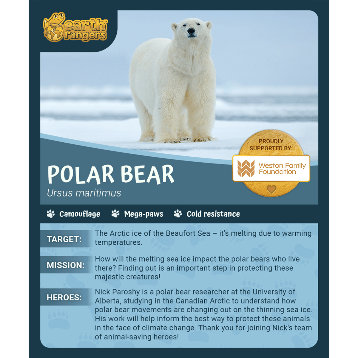 Polar Bear Adoption Kit - Plush Bundle