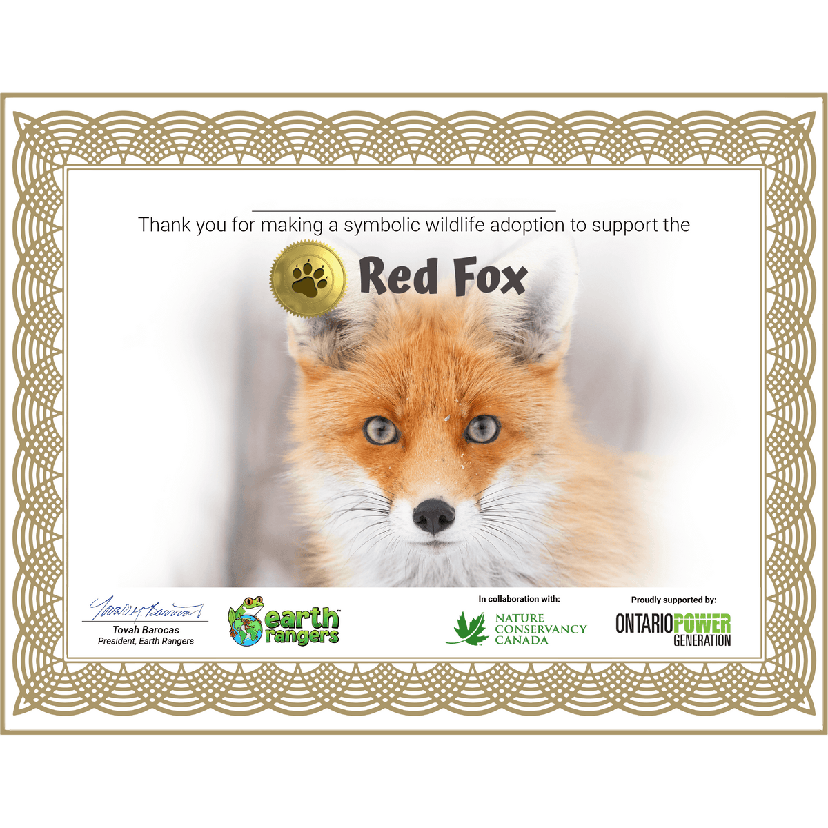 Red Fox Adoption Kit - Plush Bundle