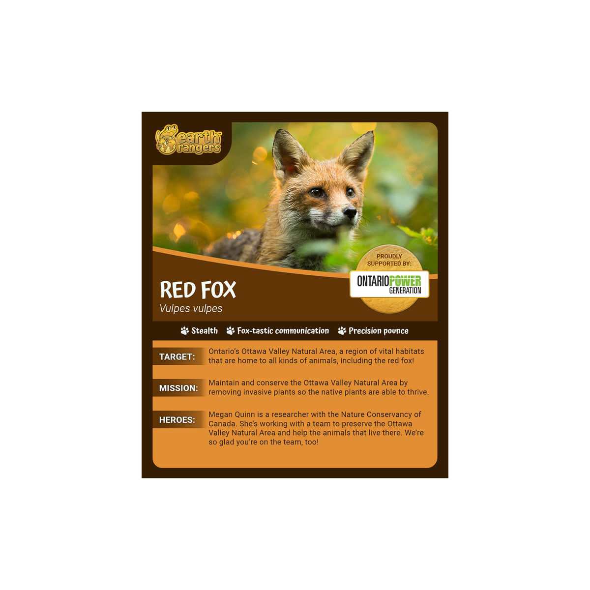 Red Fox Adoption Kit