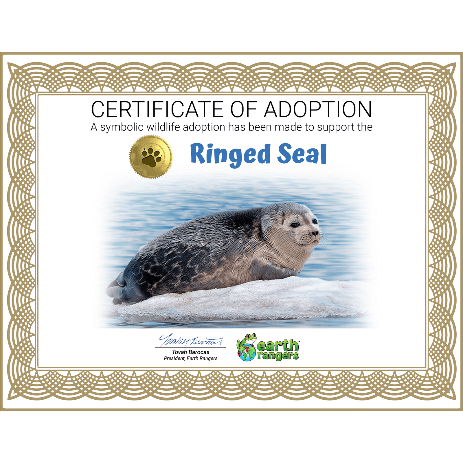 Ringed Seal Adoption Kit