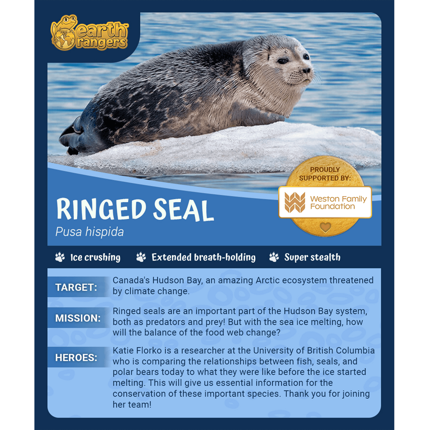 Ringed Seal Adoption Kit
