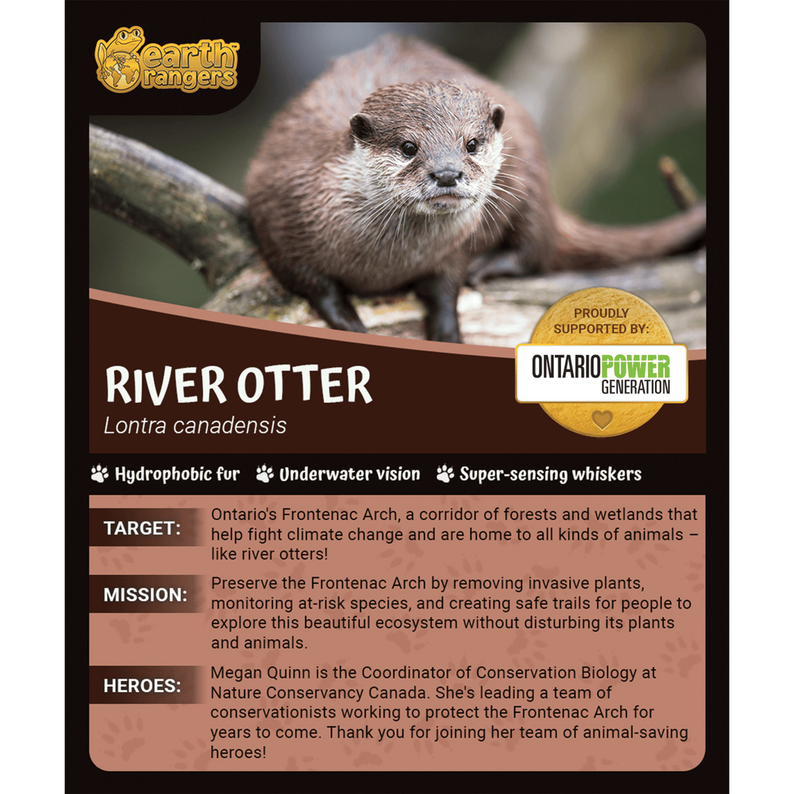 River Otter Adoption Kit