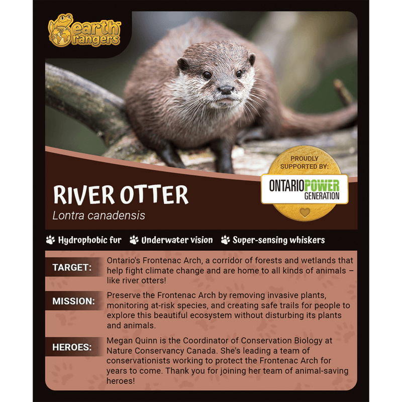 River Otter Adoption Kit