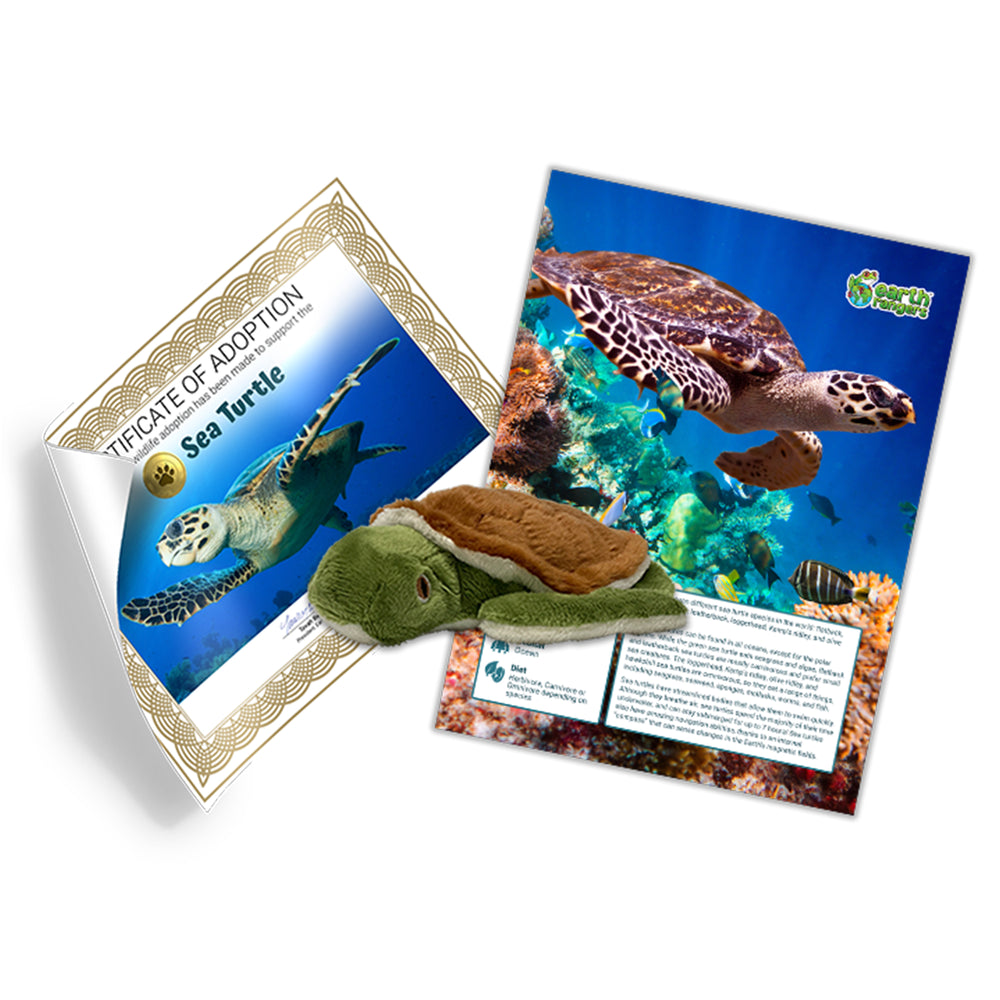 Sea Turtle Adoption Kit - Plush Bundle