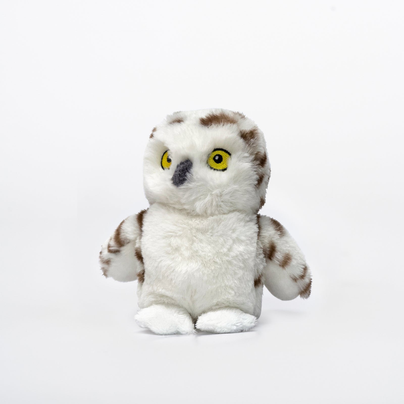 Wildlife Adoptions - Individual Adoption Kits