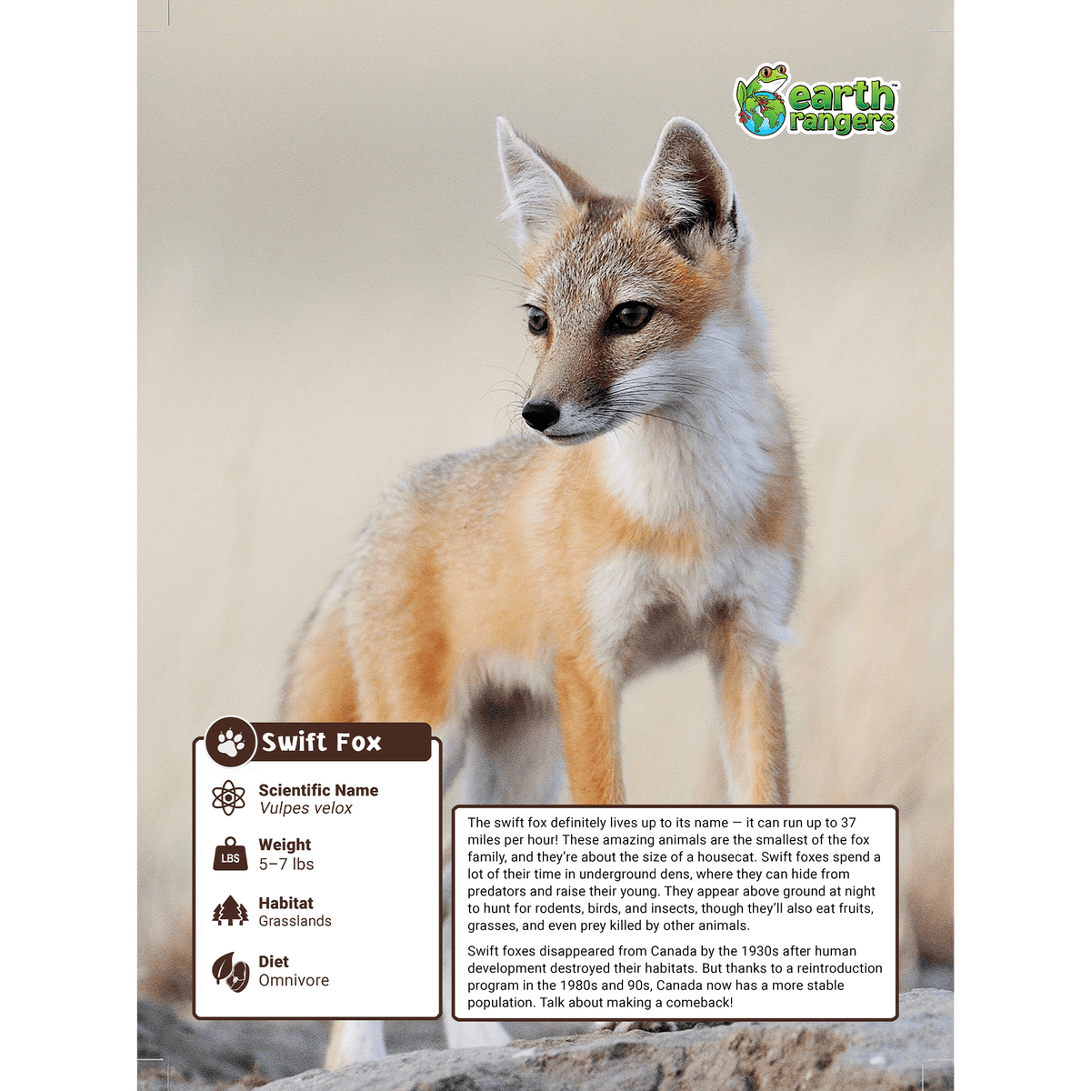 Swift Fox Adoption Kit