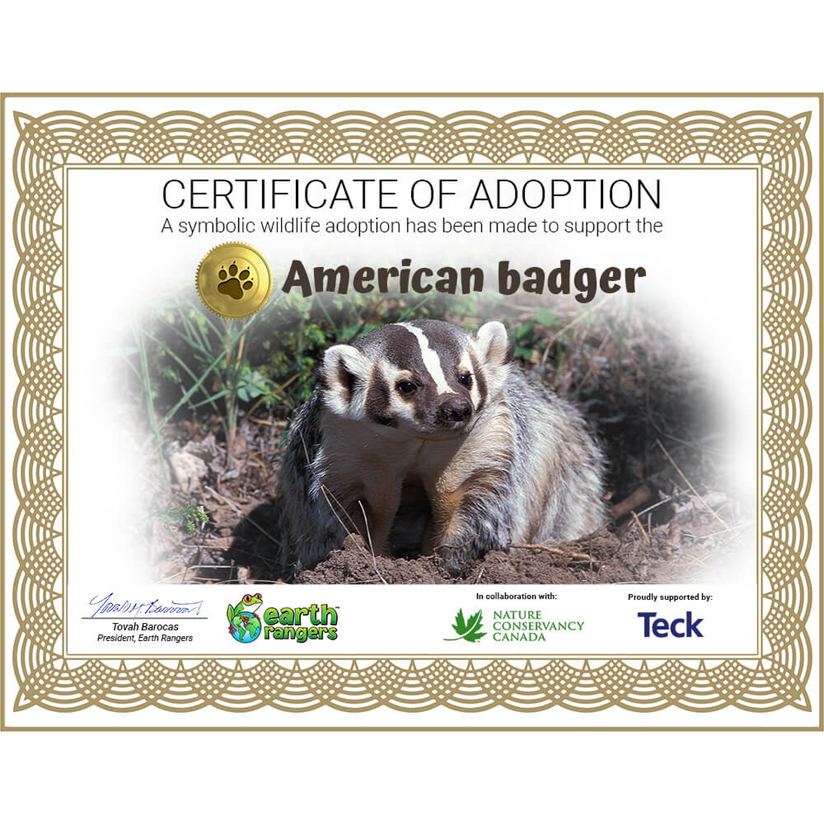 American Badger Adoption Kit