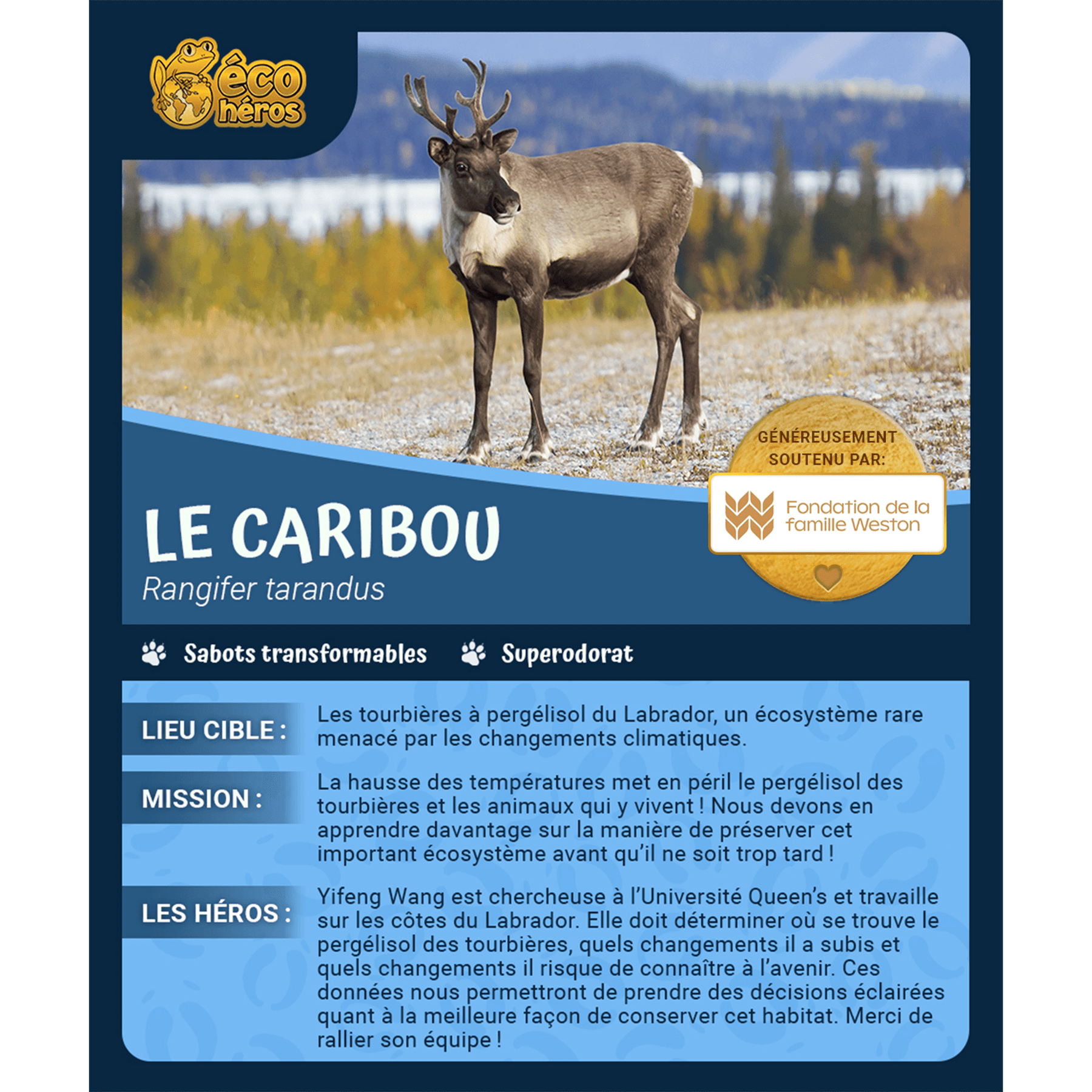 Ensemble d’adoption de caribou - Peluche