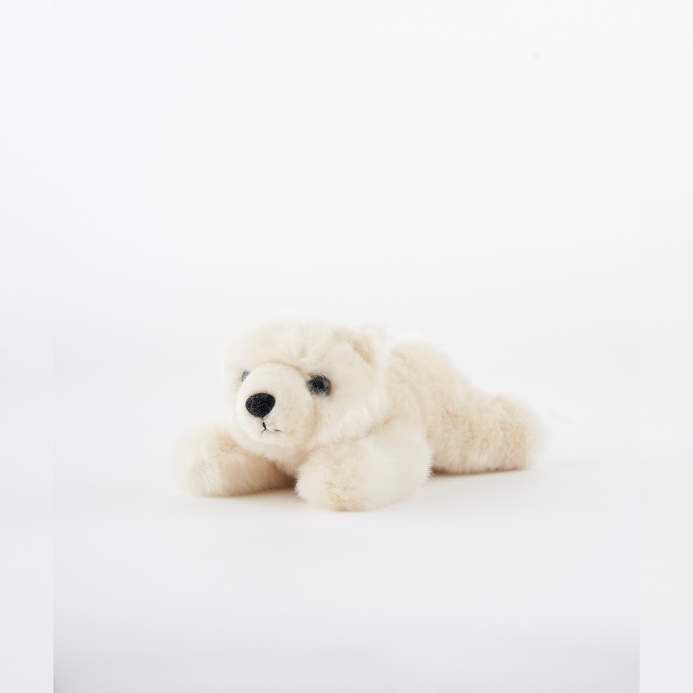 Polar Bear Adoption Kit - Plush Bundle