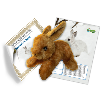 Wildlife Adoptions – The Earth Rangers Shop